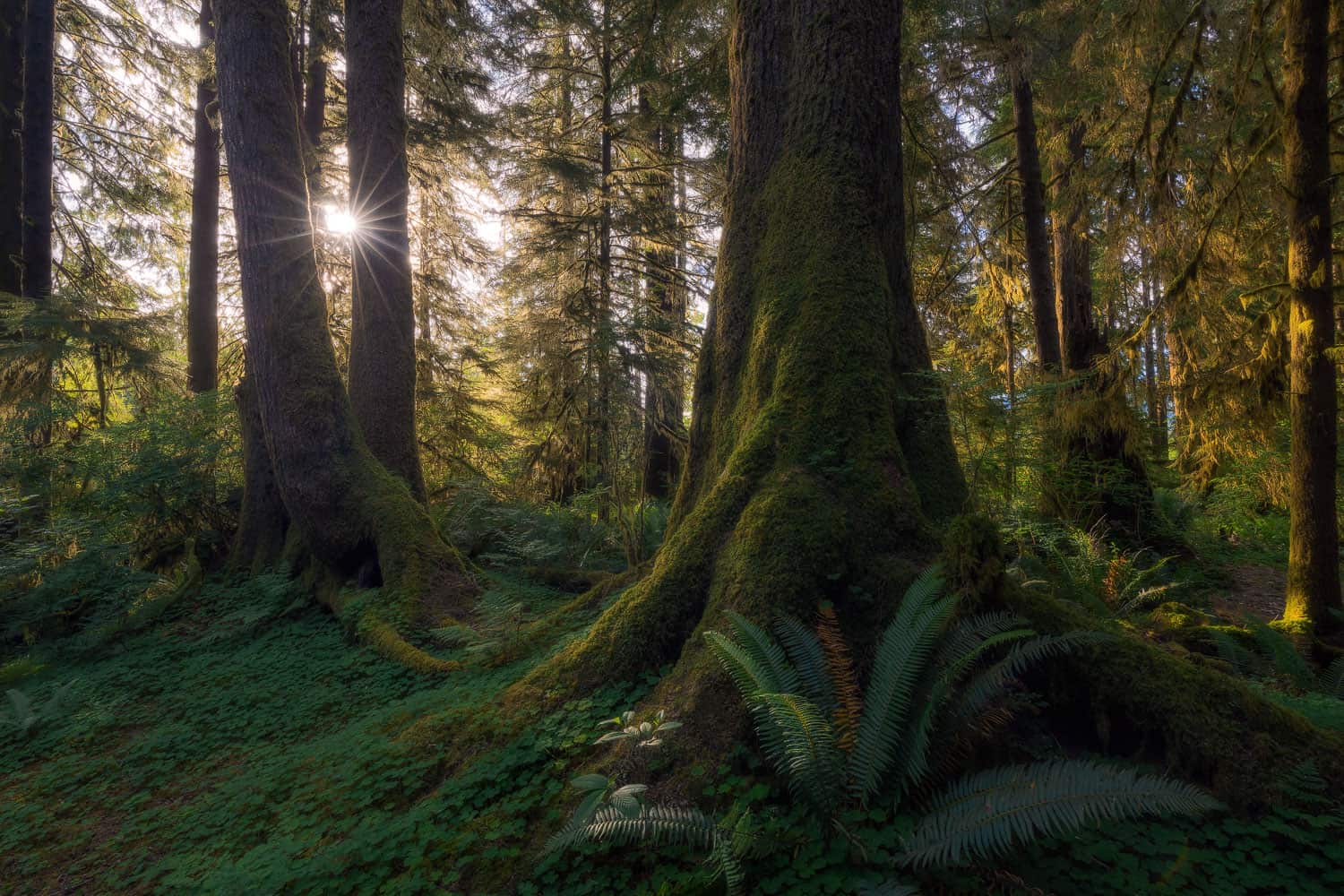 Creating A Diverse Portfolio - Nature Photographers Network