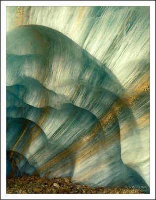 Thinking in Themes - Nature Photographers Network