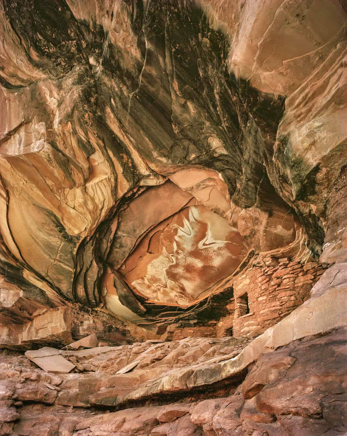 Great Photographs - They Happen When You Happen - Nature Photographers ...