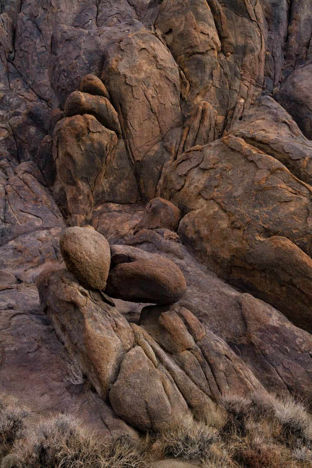 Great Photographs - They Happen When You Happen - Nature Photographers ...