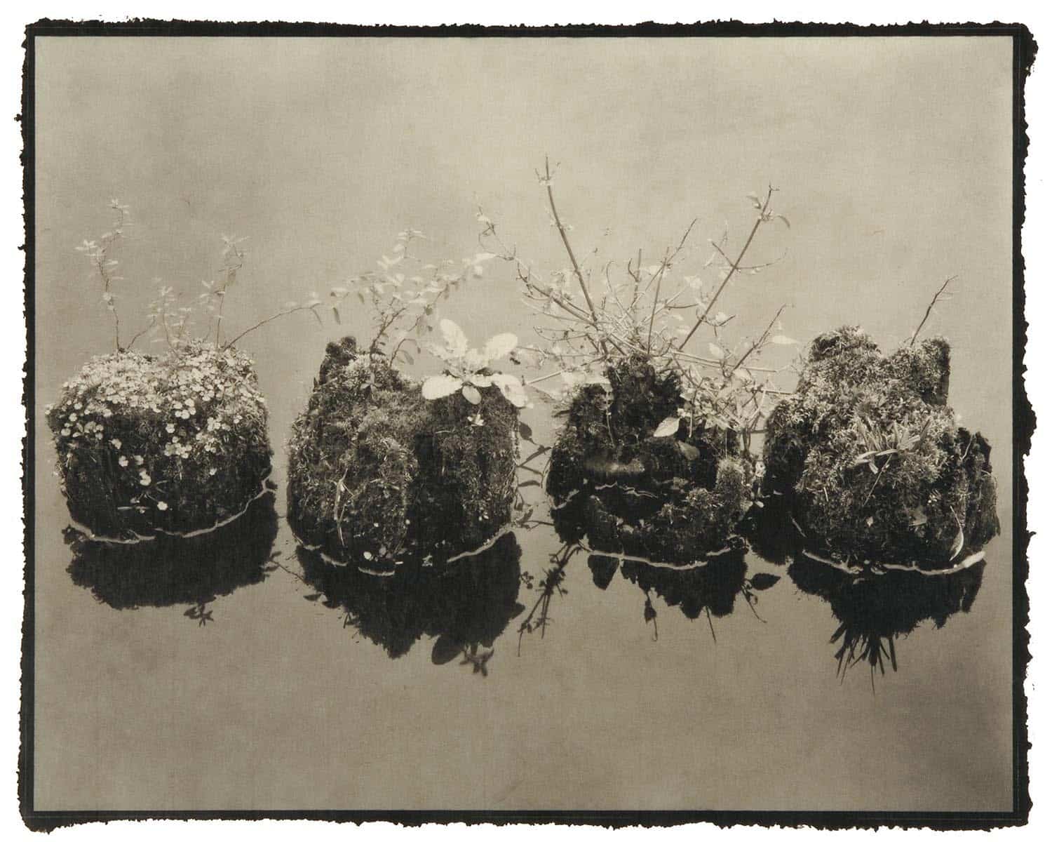 Finding Gods In Nature - Nature Photographers Network