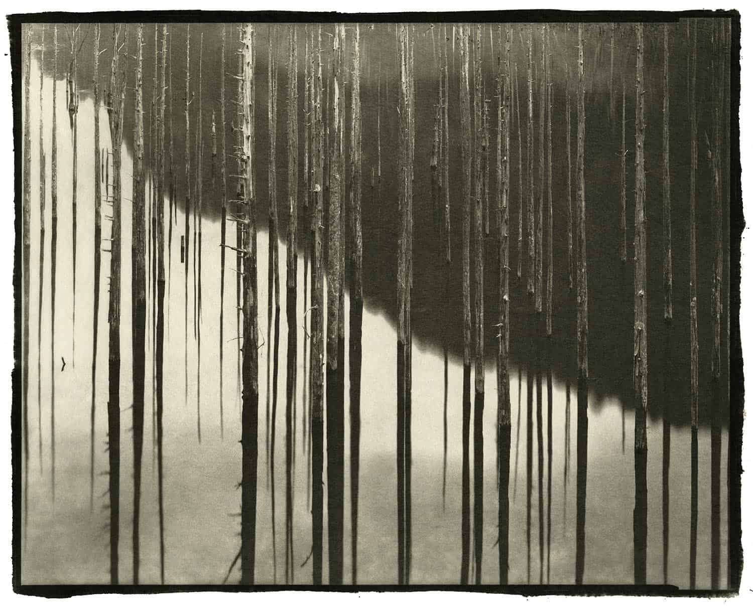 Finding Gods In Nature - Nature Photographers Network