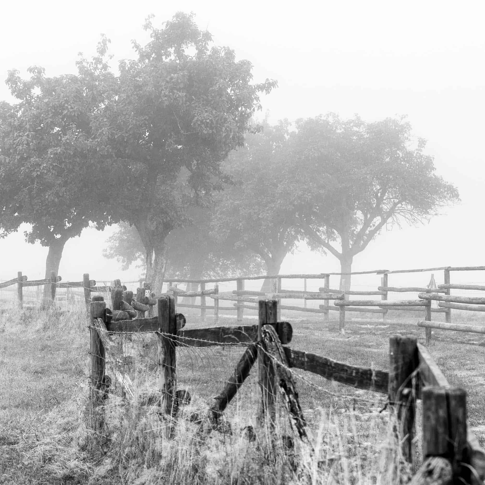 On Discipline - Nature Photographers Network
