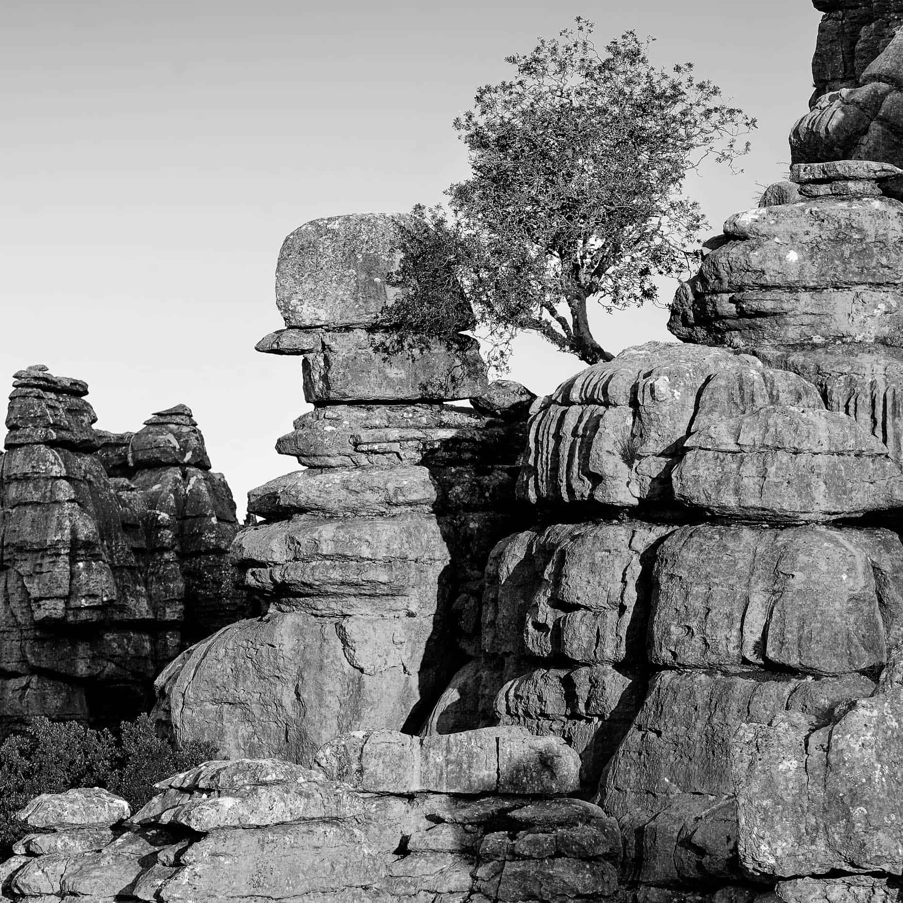 On Discipline - Nature Photographers Network